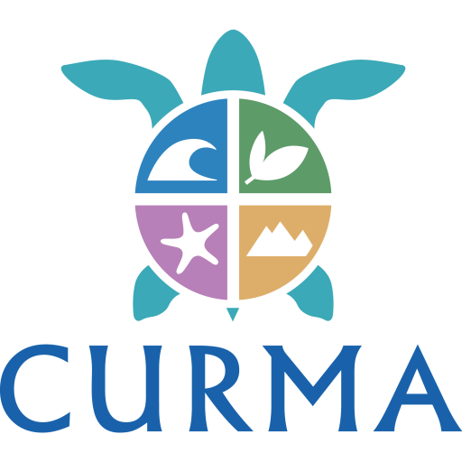cropped-2023-curma-brand-logos_secondary – Project CURMA | Sea Turtle ...
