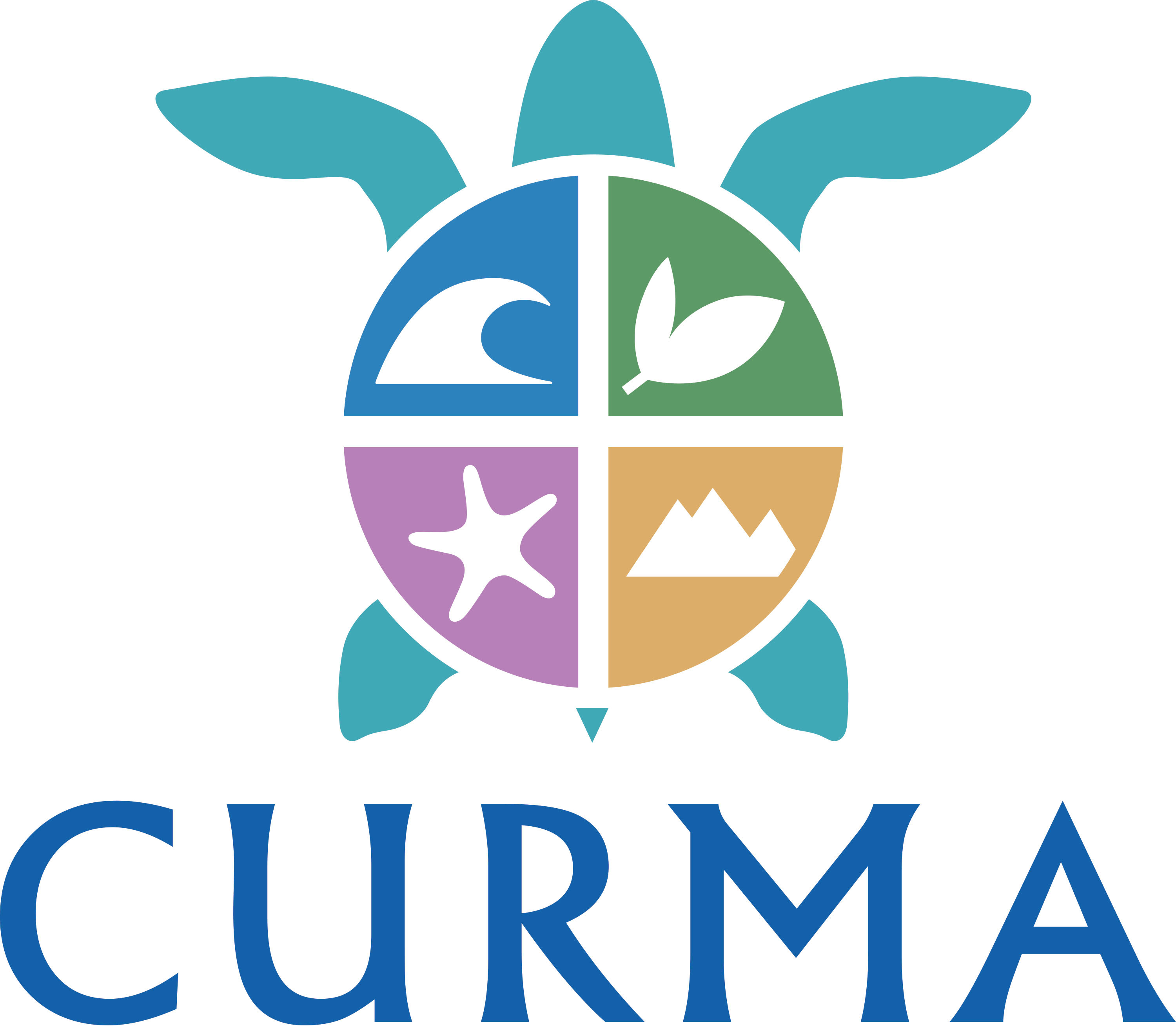CURMA logo 1 – Project CURMA | Sea Turtle Conservation in the Philippines